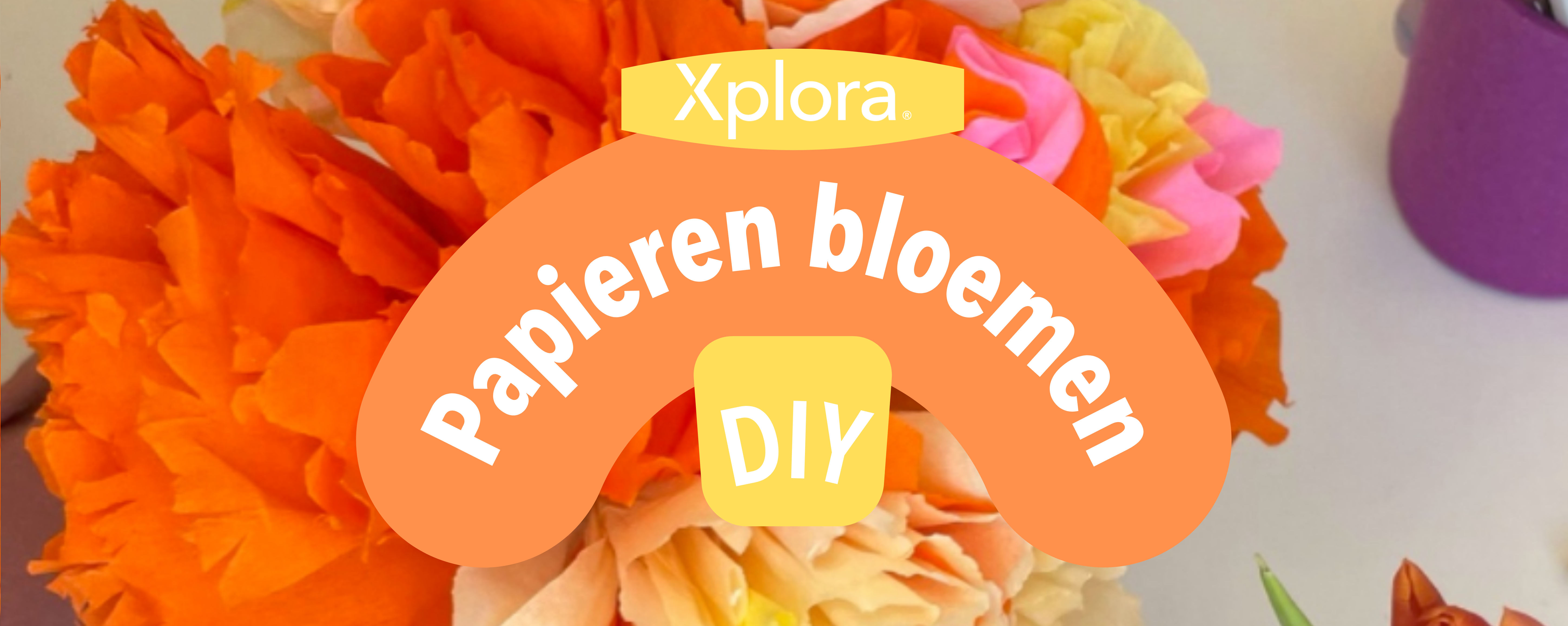 Onze lente DIY: We gaan prachtige papieren bloemen maken! – Xplora NL